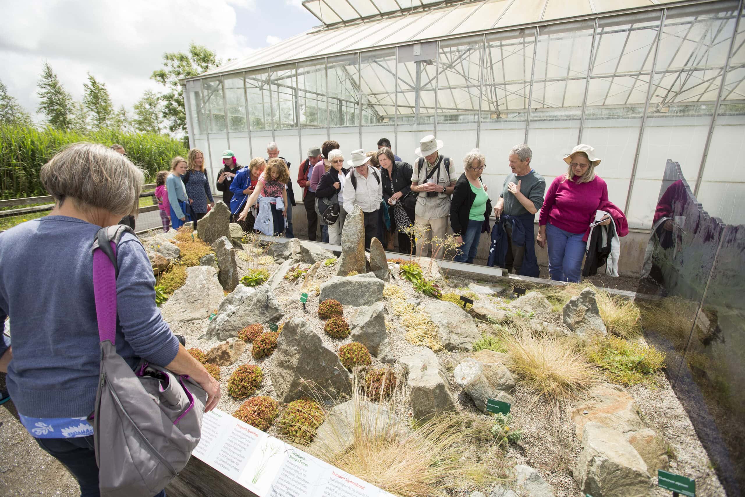 Conserving Welsh Plants - National Botanic Garden of Wales