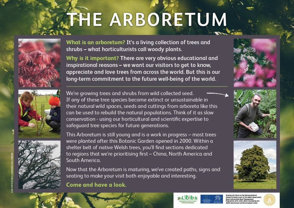 What Is An Arboretum Garden | Fasci Garden