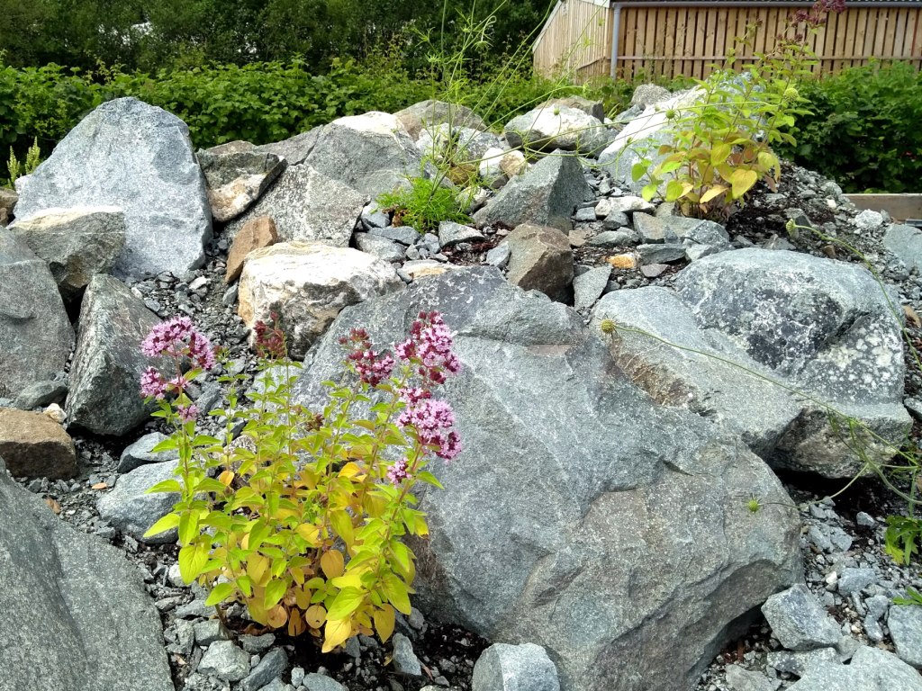 Of English and Welsh Natives - National Botanic Garden of Wales