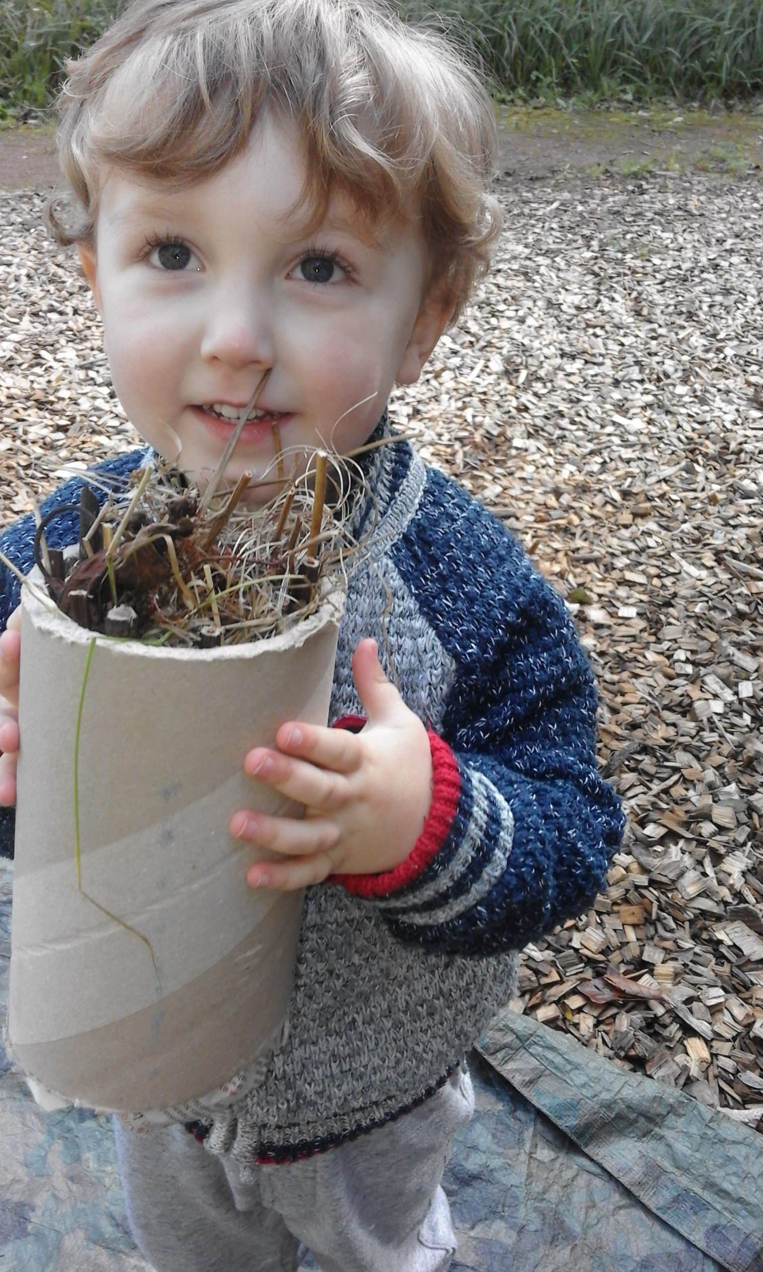 This term at Welly Wednesday - National Botanic Garden of Wales