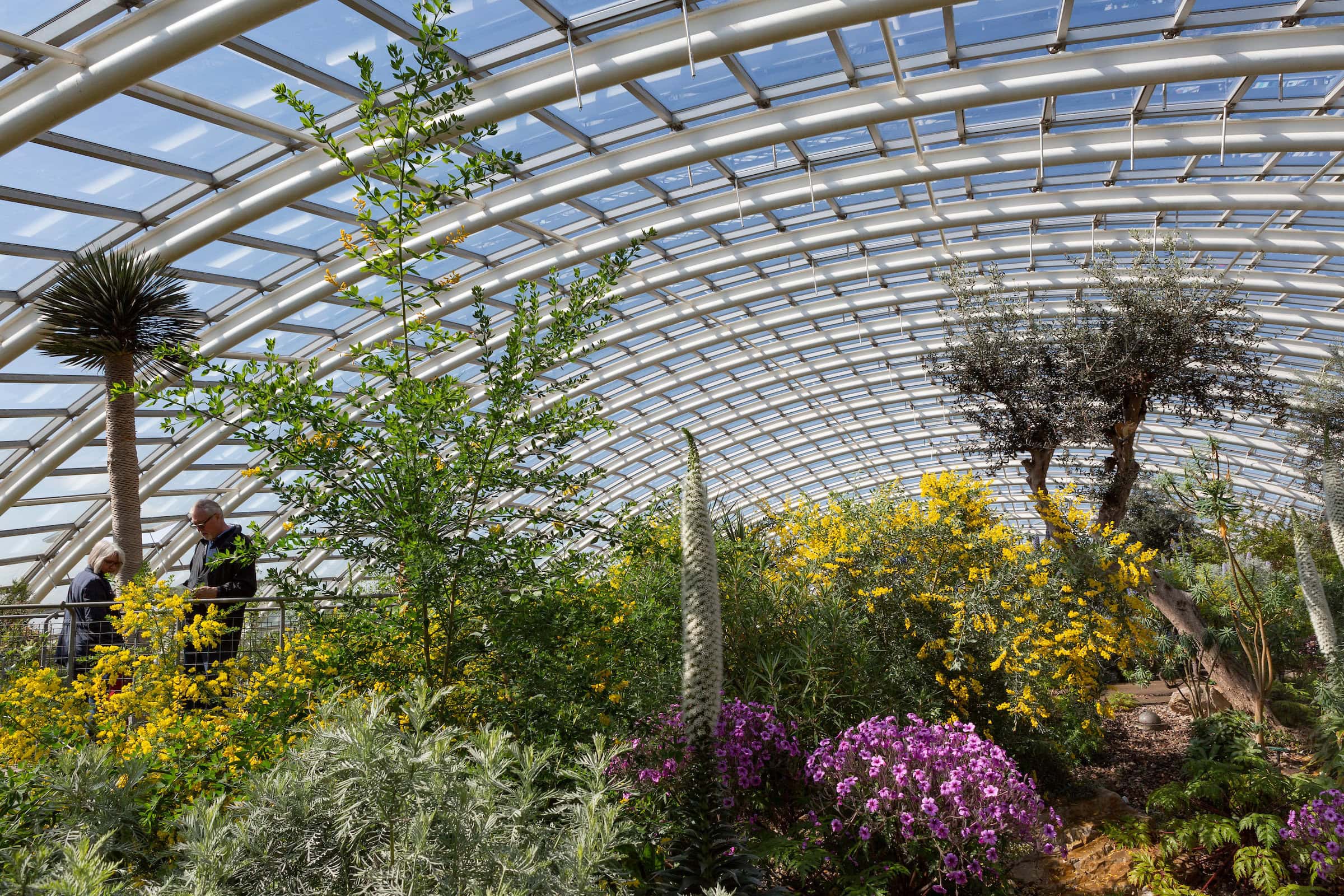 Help us to help save the planet - National Botanic Garden of Wales