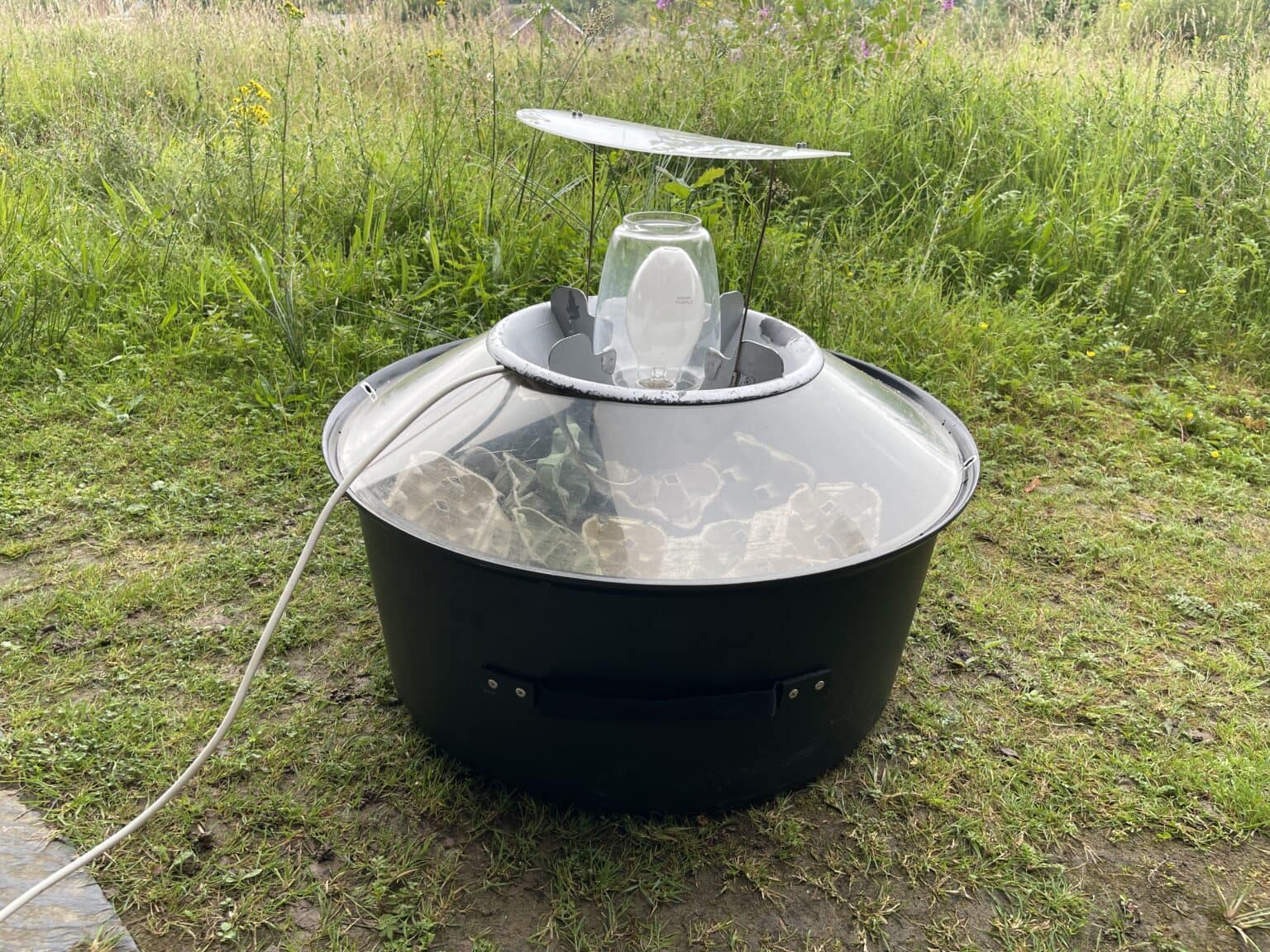 Celebrating National Moth Week - National Botanic Garden of Wales