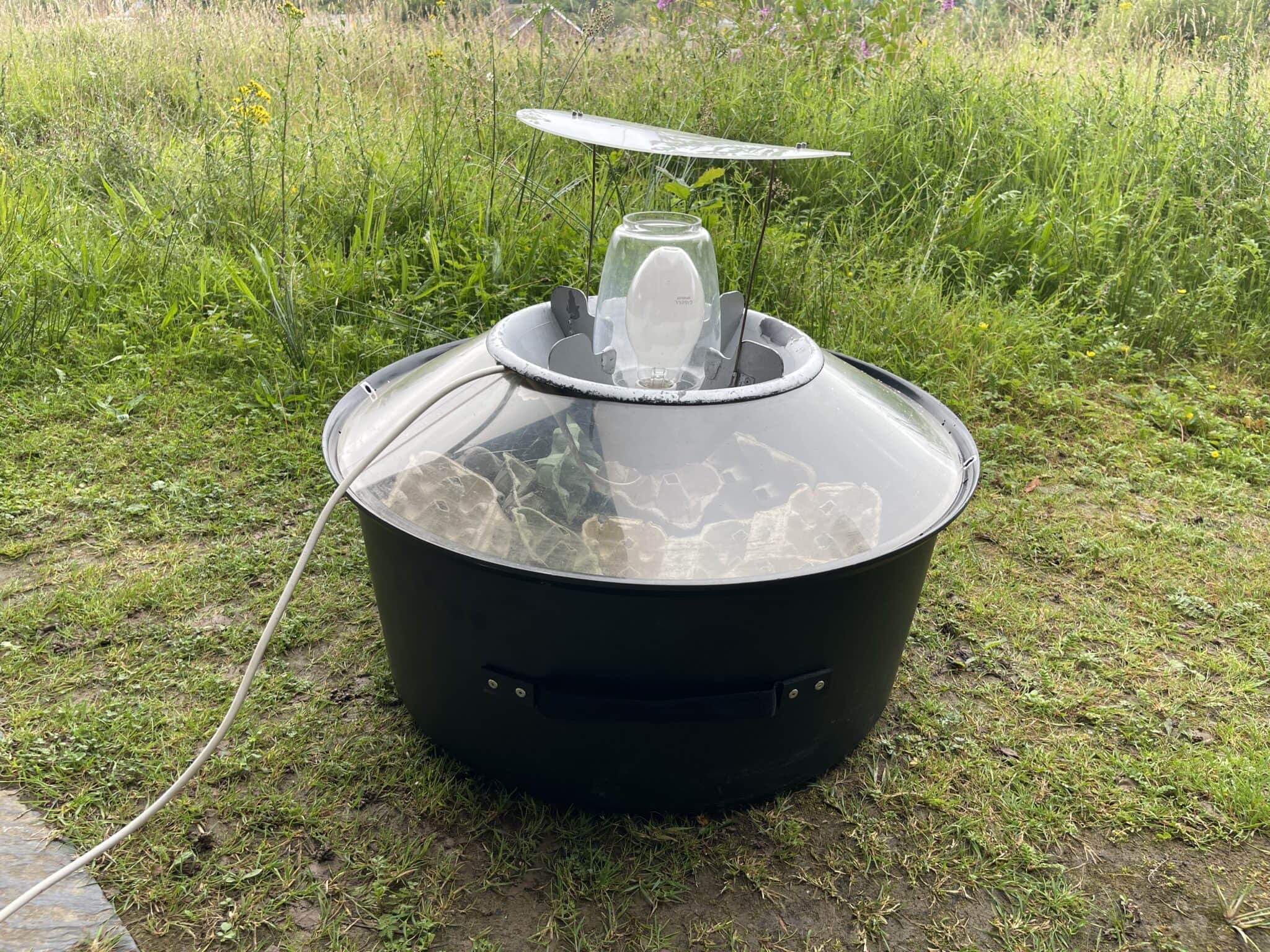 Celebrating National Moth Week - National Botanic Garden of Wales