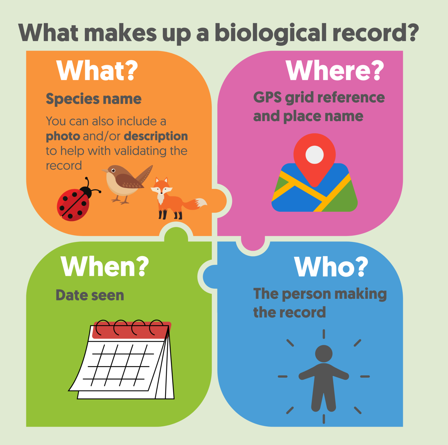 Spot It, Name It, Record It: A Simple Guide to Biological Recording ...
