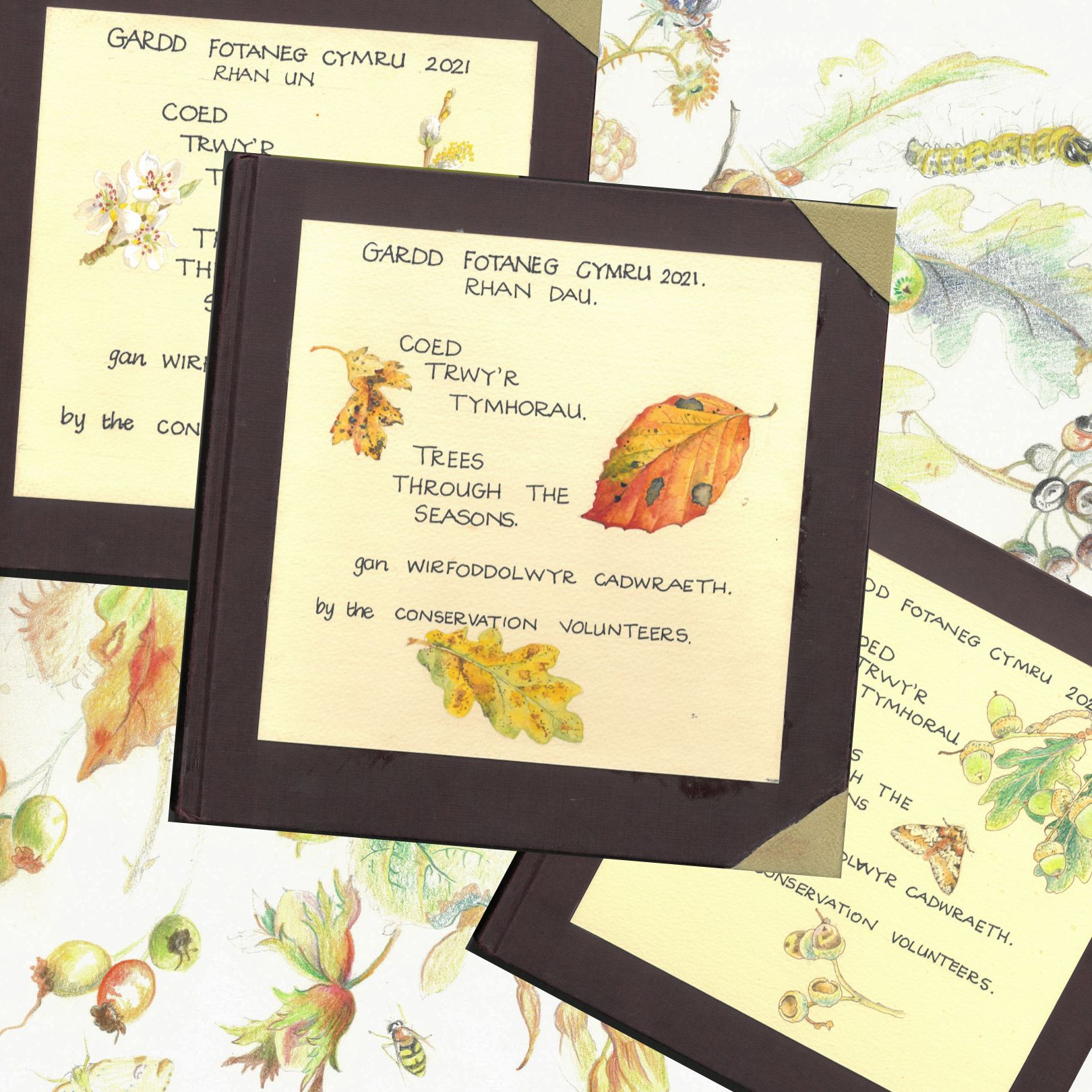 National Tree Week: Trees through the seasons by the Conservation ...